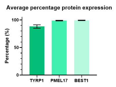 Retinal Pigment Epithelium (RPE) | Newcells Biotech