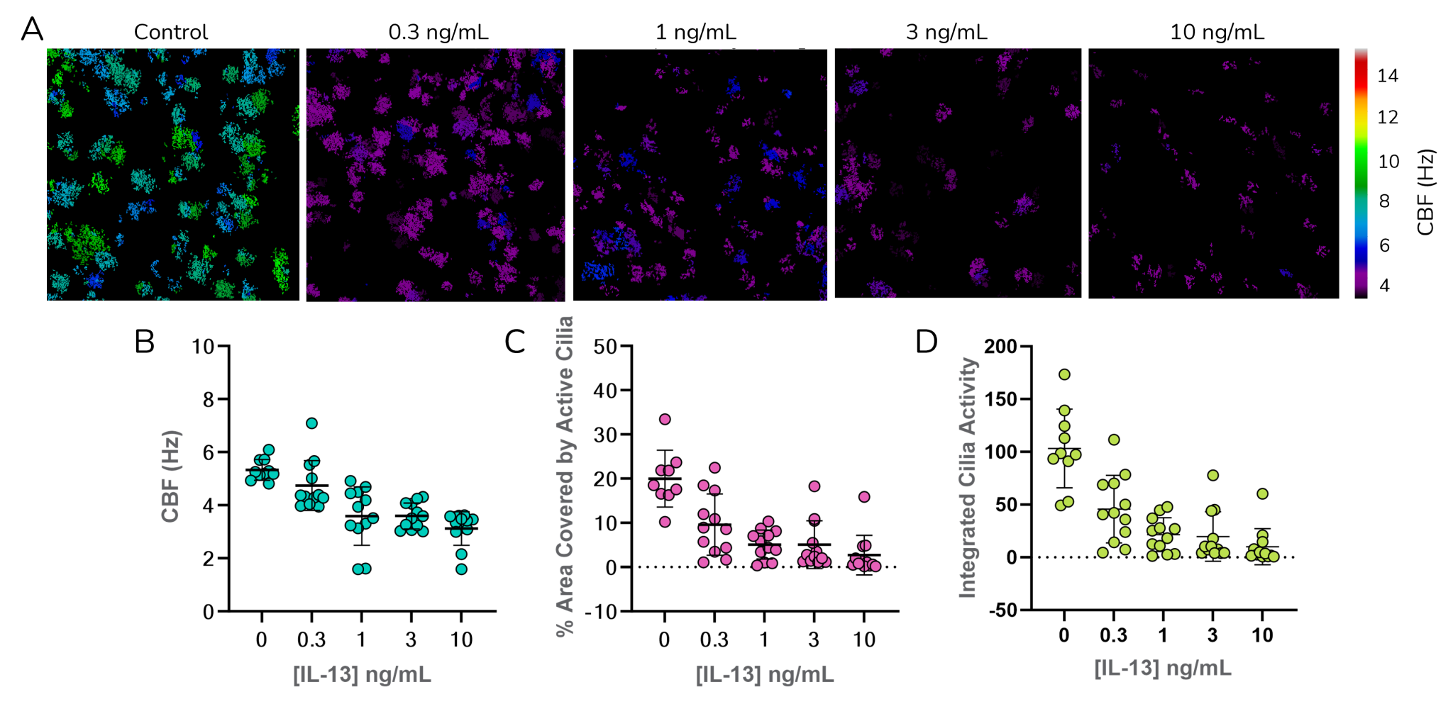 Lung ciliary beat frequency analysis | Newcells Biotech